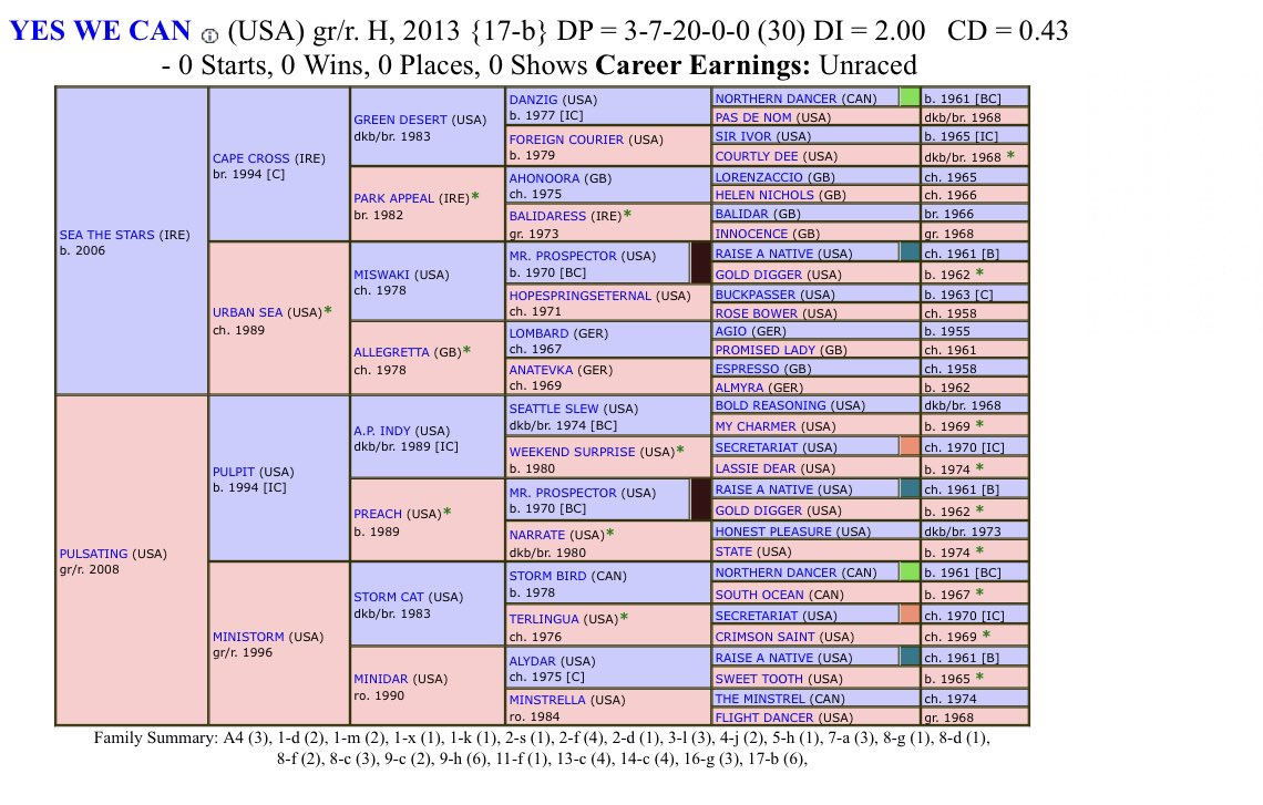Los Samanes Polo & Racing on Twitter: "Estamos felices de anunciarles, que ya llego el Padrillo ...