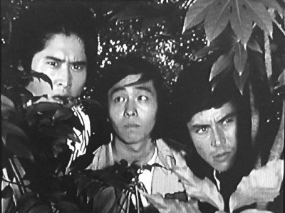 pea_ch_1234 on Twitter: "おはスコッチです ️ よろスコッチお願い典介様でございます🥰🥰🥰🥰🥰 皆様、今日も笑顔で幸せな一日をお過ごしください💖💖 ぼちぼちのんびりと沖 ...