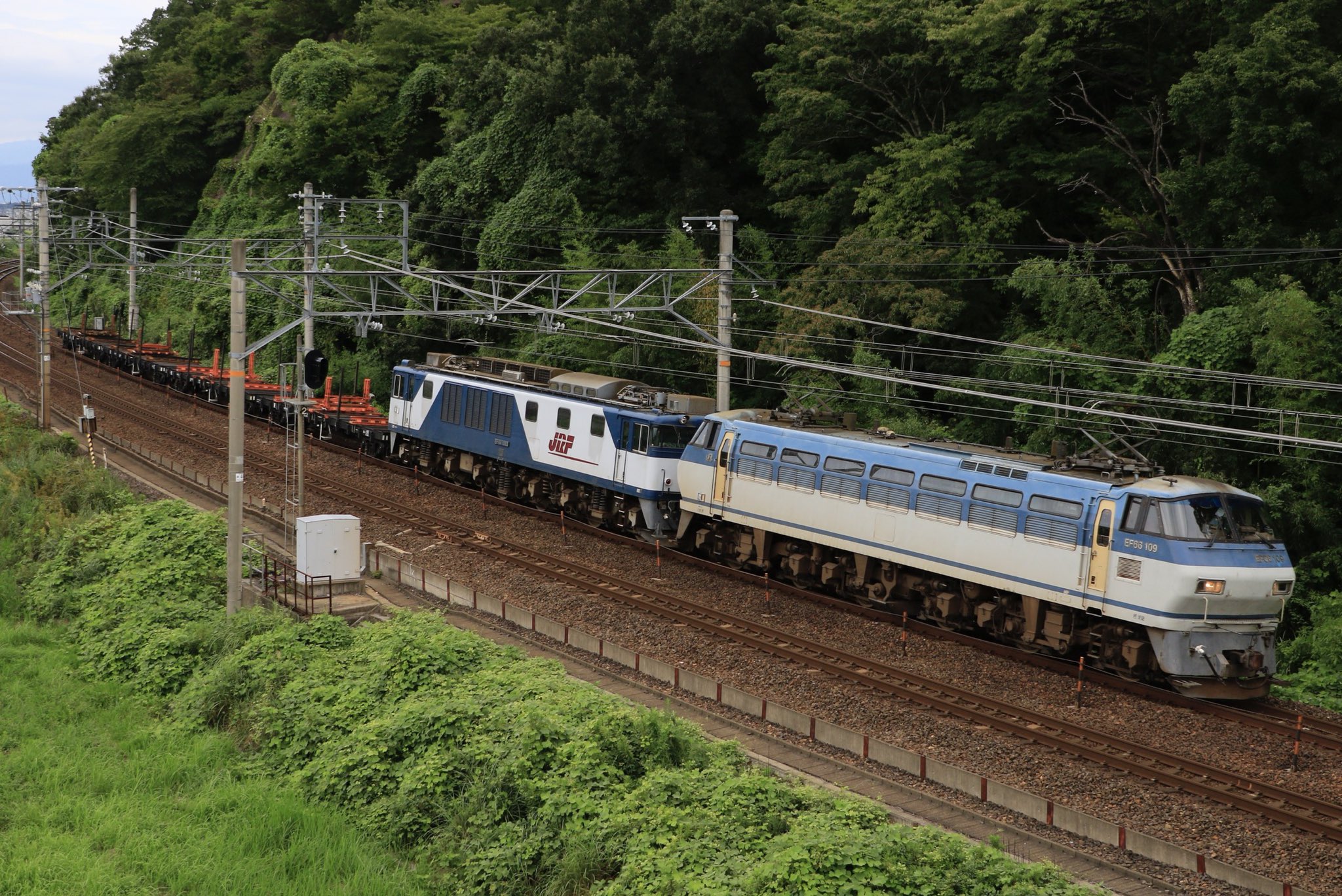 Tynpn (@tynpn23_sgsyo) / Twitter