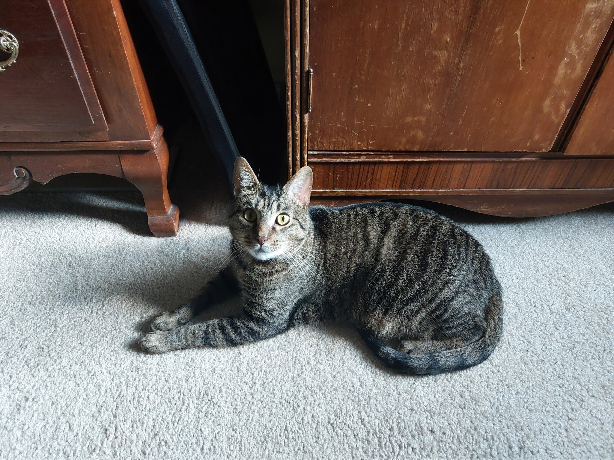 Calibus (@CalibusOfficial) / Twitter