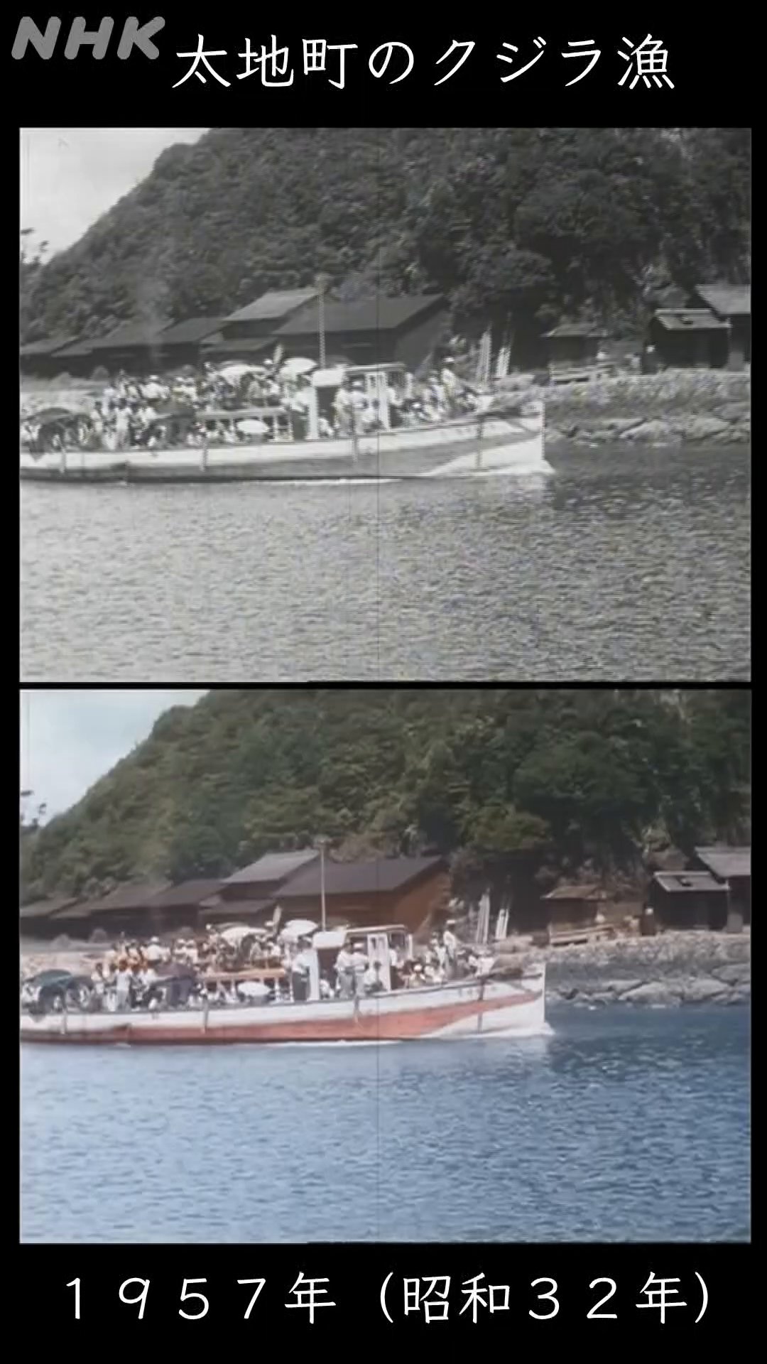 NHK和歌山放送局 on Twitter: "貴重なモノクロ映像 🎞️ をAI（人工知能）などを活用し #カラー化 🎨 昭和32年、太地町で行われた クジラ漁のニュース映像です 当時の ...