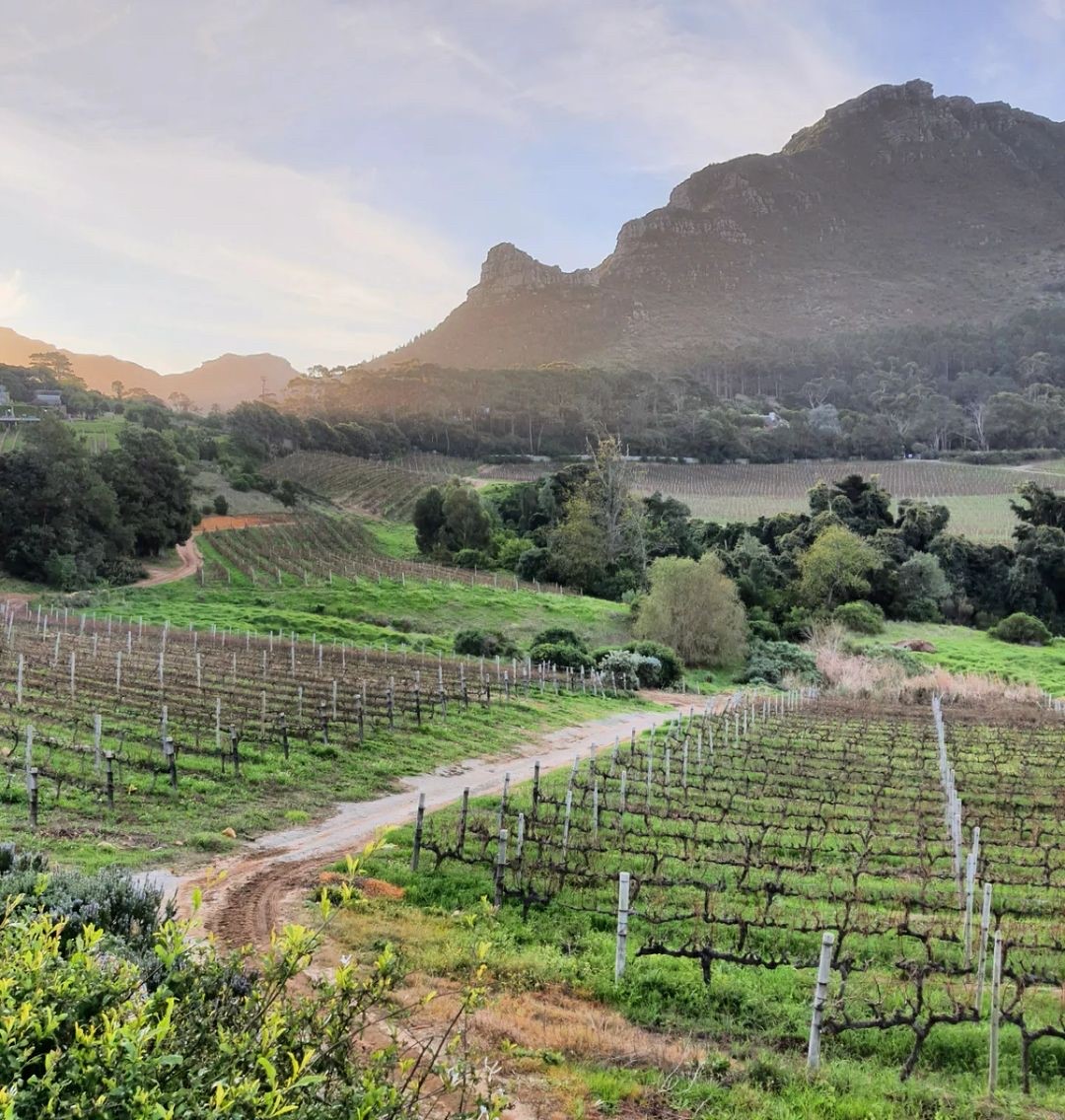 Beautiful South African Countryside 20 Of The Best & Most Beautiful