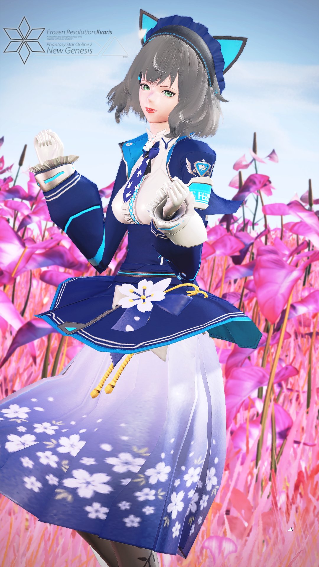 はる＠Ship1 PSO2NGS専用アカウント on Twitter: "メンテも予定通り終わりましたね。 怒涛のチームタスク消化途中で エアリオでSS やっぱり砂漠、雪山だと 普通の花とか ...