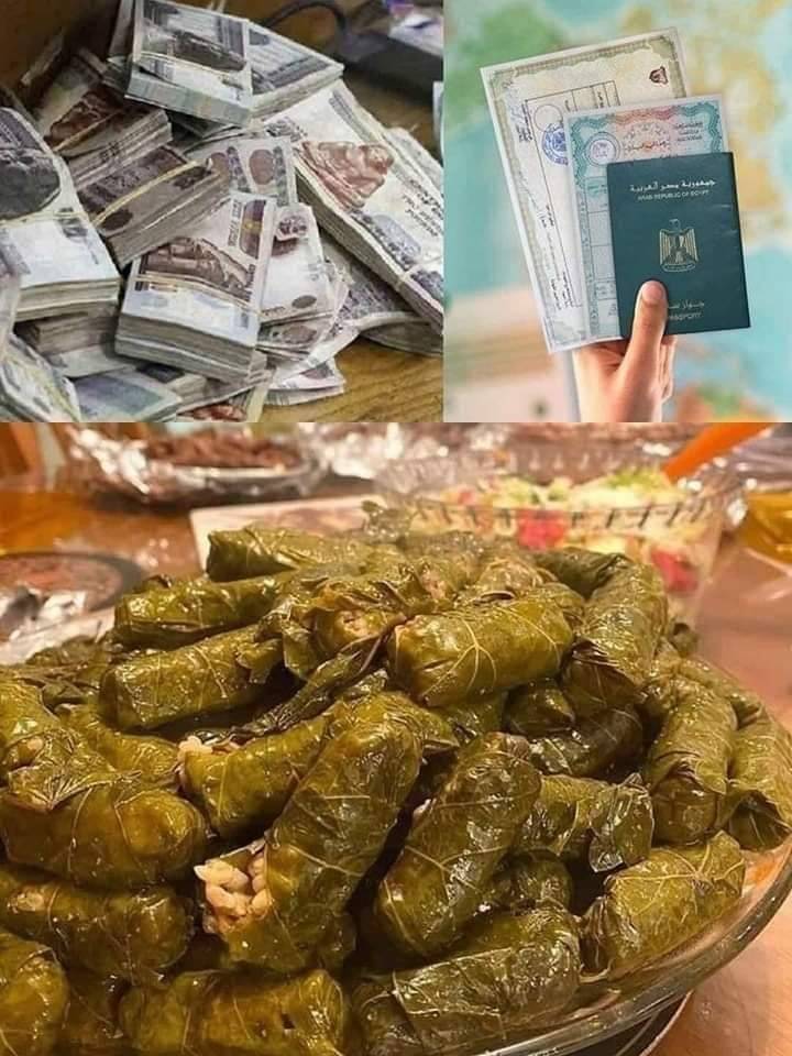 Screen Mix on Twitter: "أجمل 3 أوراق في العالم 😂 ️ https://t.co/DMaV7OXcg8" / Twitter