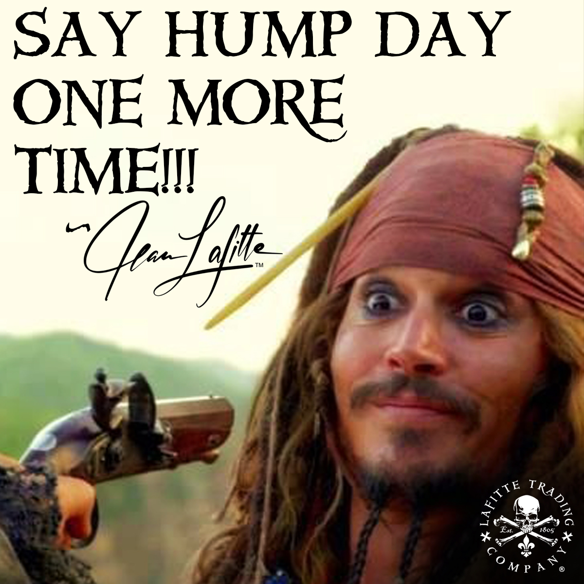 If You Say Hump Day One More Time Meme