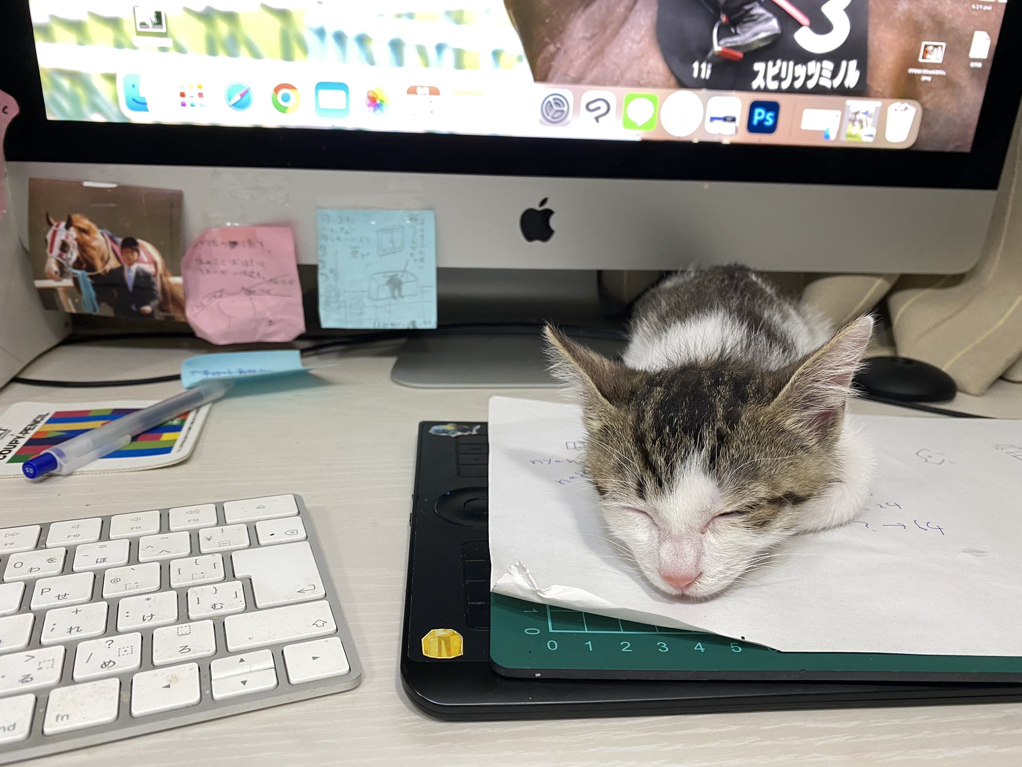 おがわじゅり on Twitter: "もう仕事に手がつかないので 寝ることにしよう https://t.co/Rg0Qg327aI" / Twitter