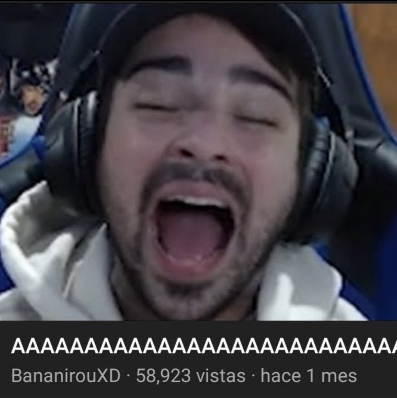 bananirou on Twitter: "algún día de estos vuelvo a stremear https://t.co/XmyjpVKCYi" / Twitter