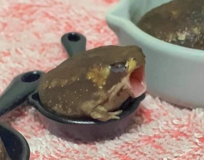 QuarterJade on Twitter: "@peterparkTV https://t.co/ulQXOlw6r1" / Twitter