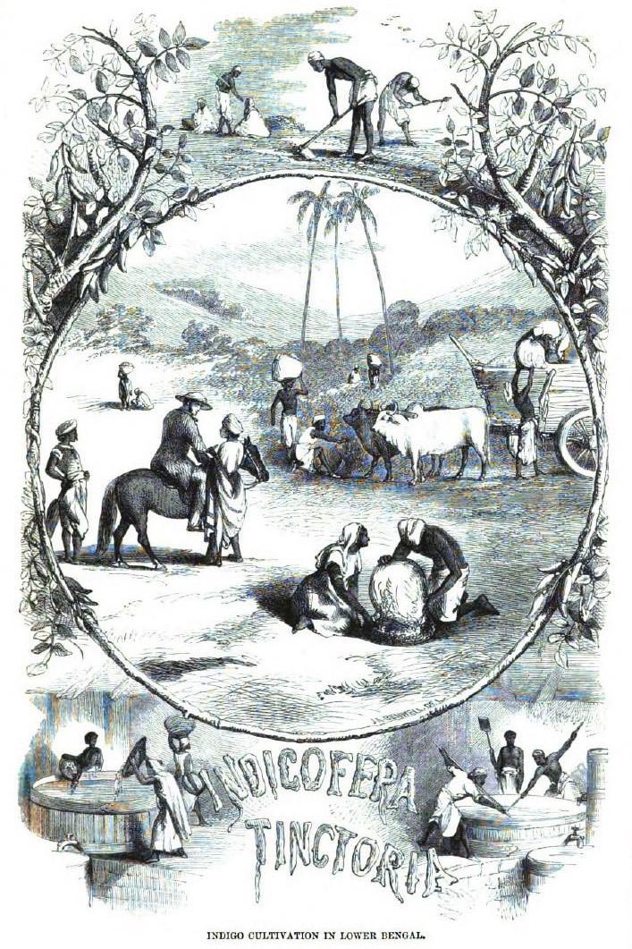 Indigo(Sanskrit nīlinī/Nila)was used in ancient Bharat, both as dye ...