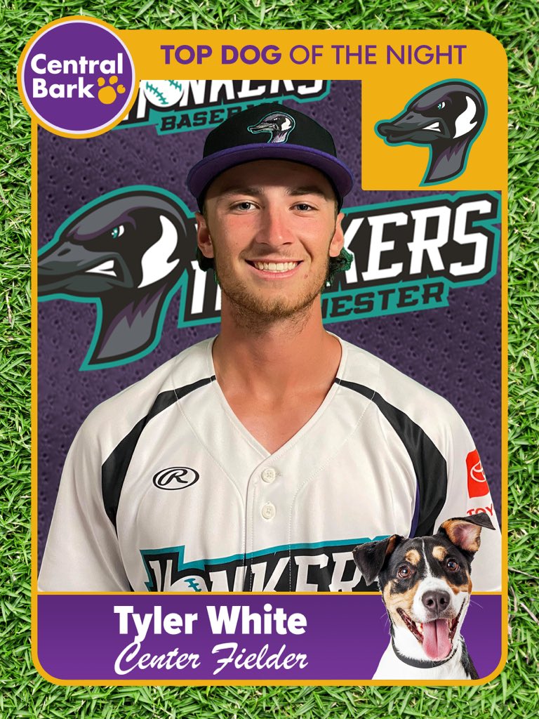 Rochester Honkers on Twitter: "Last night’s @CentralBarkRCH Top Dog of the Night is Tyler White ...
