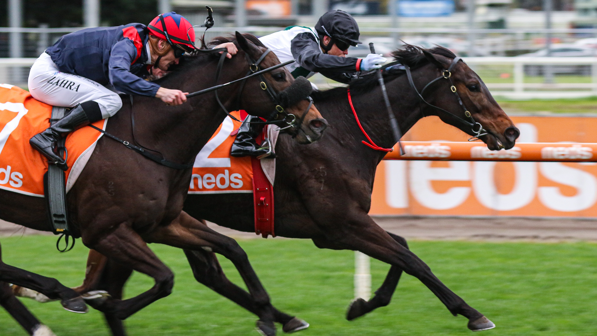 Jo McKinnon 🐴 (@Jo_McKinnon) / Twitter Jo McKinnon 🐴 (@Jo_McKinnon) / Twitter