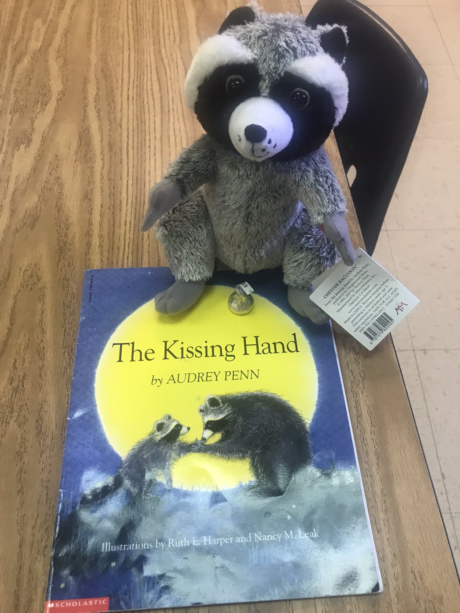Kissing Hand Raccoon