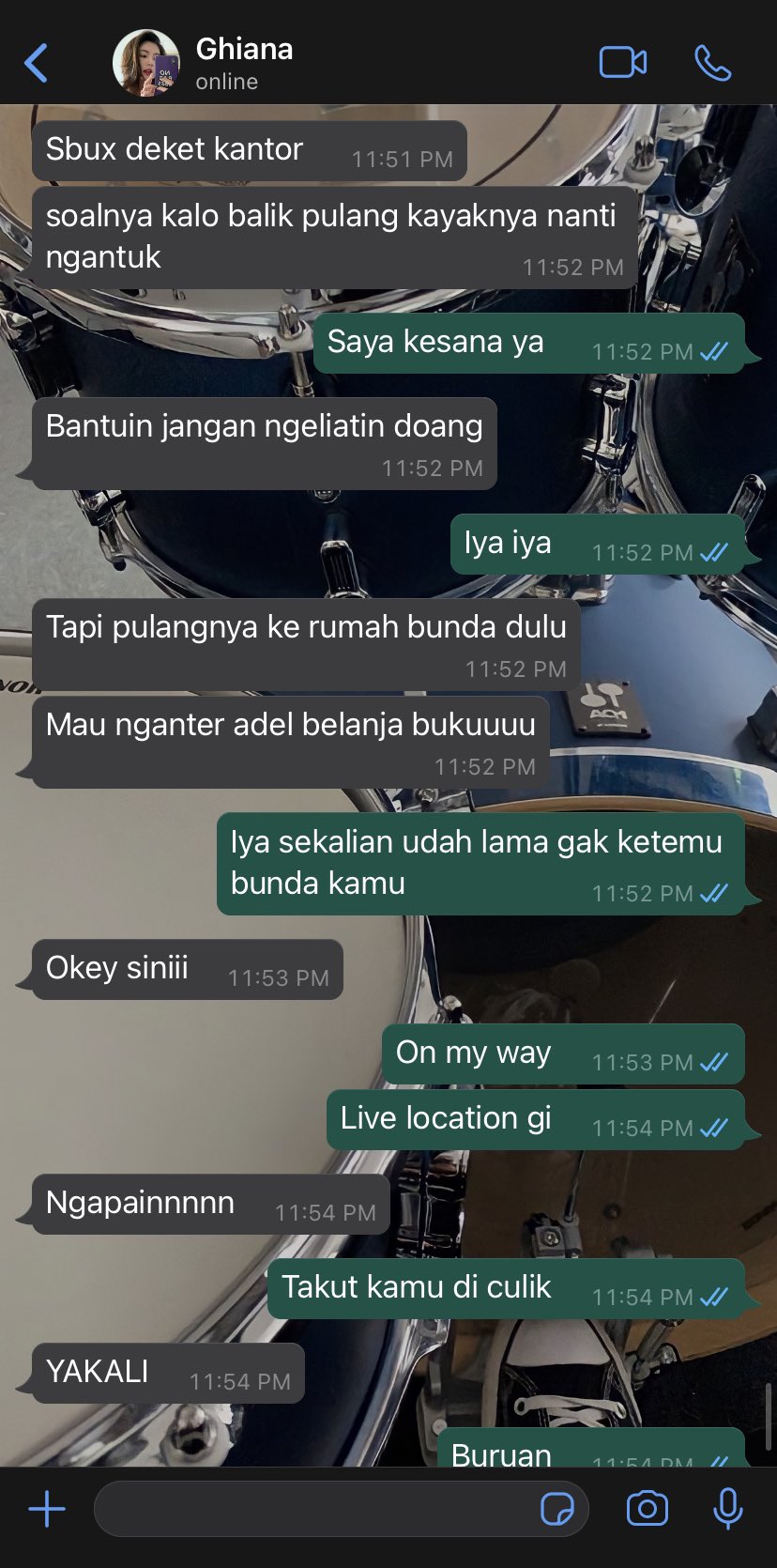 Erina🐈 on Twitter: "—315 https://t.co/KfgNCg9Dg1" / Twitter