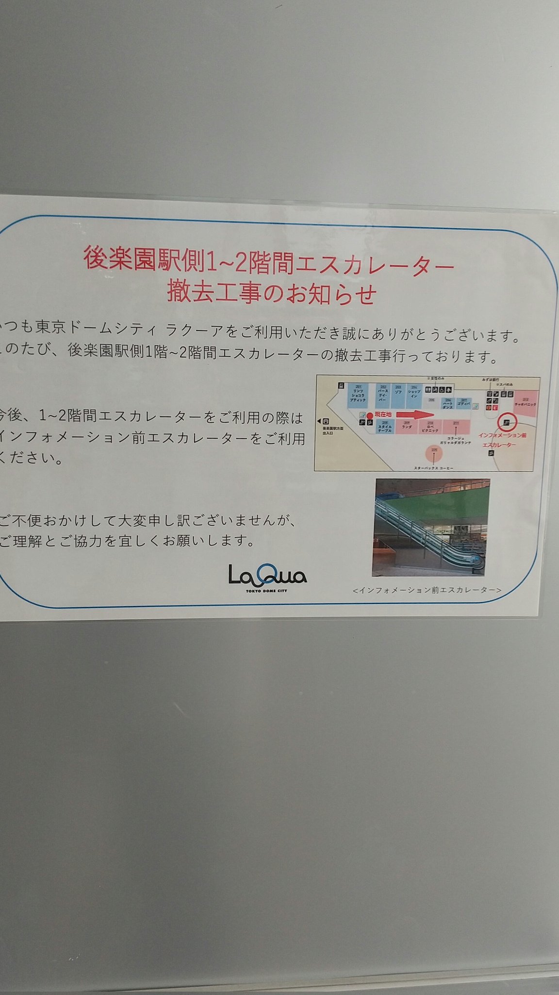 大塚日向子@文京区 (@Bnk_WM) / Twitter