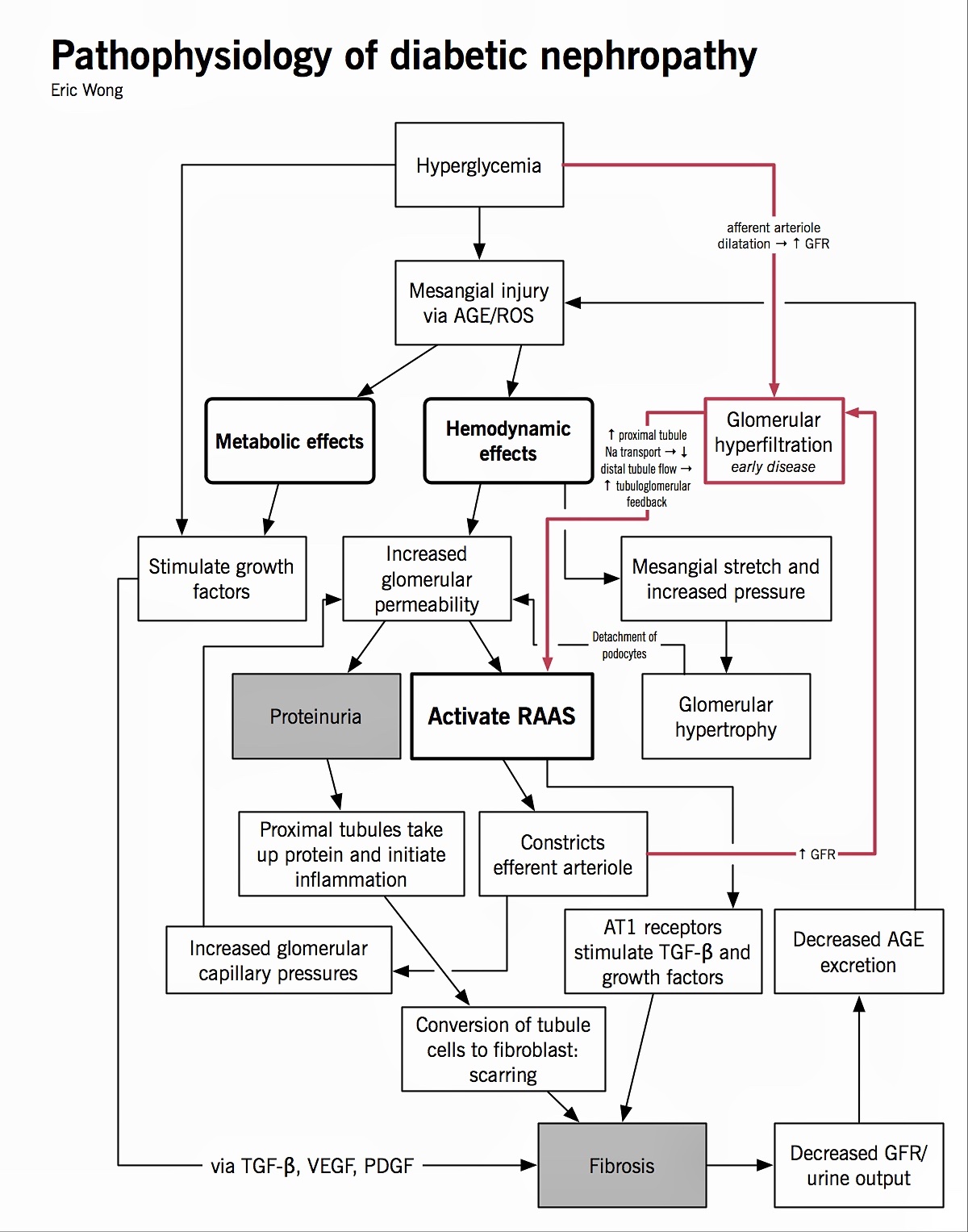 Diabetic Nephropathy Images