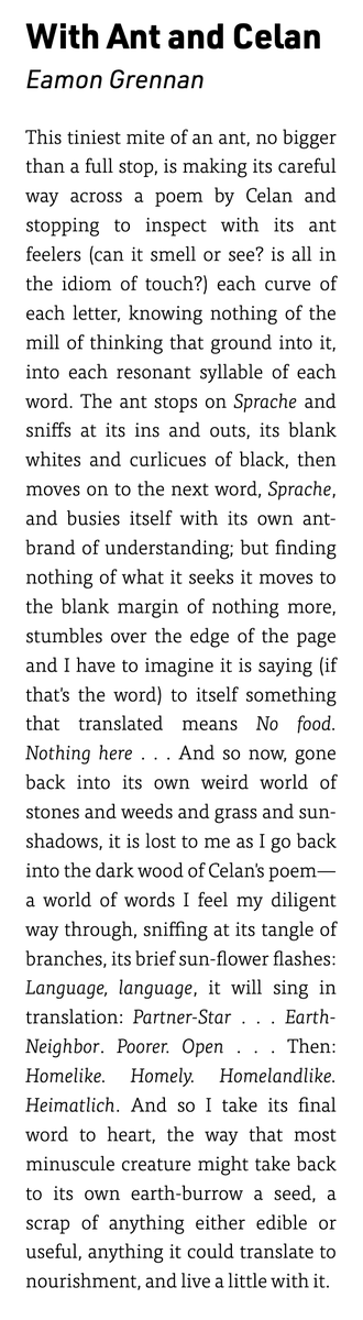 The Pastures of My Eccentric Uncle - Winning Writers