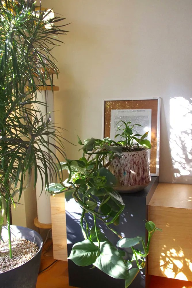 GINZA on Twitter: "【 #私と部屋 】 vol.77 降り注ぐ太陽。共存するヴィンテージの重厚感と巨匠の家具たち ー 渡辺由貴さん https://buff.ly/3jFX4ck"