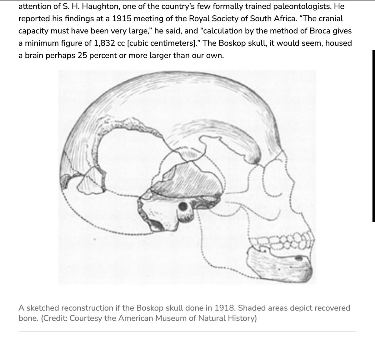 Ragnar's Threads – Thread Reader App