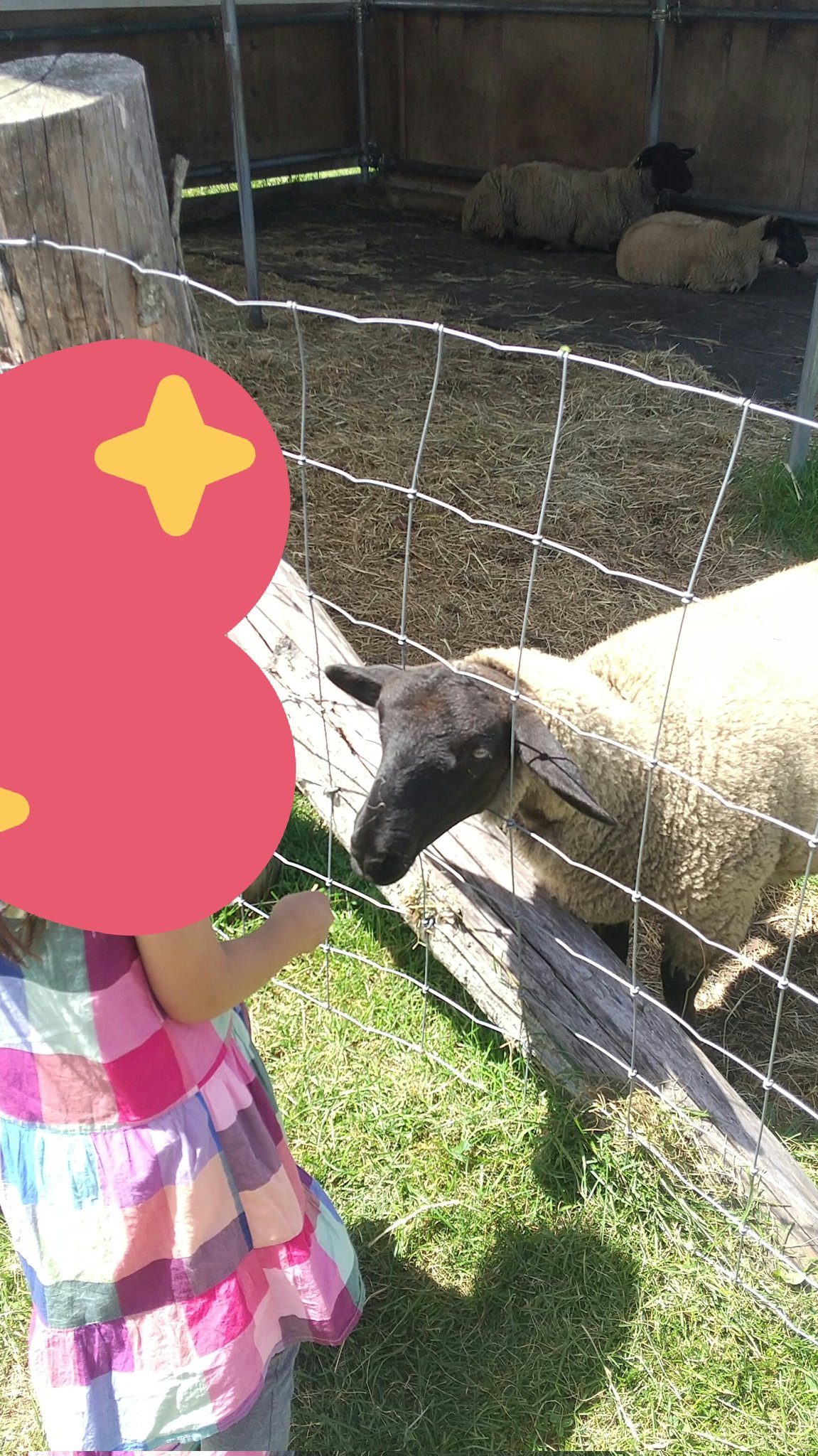 大塚日向子@文京区 (@Bnk_WM) / Twitter