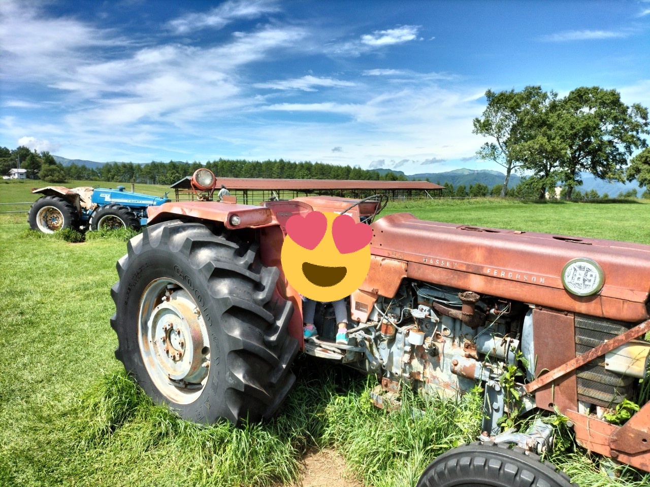 大塚日向子@文京区 (@Bnk_WM) / Twitter