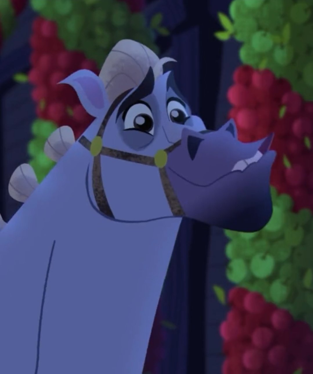 Maximus Tangled Apples