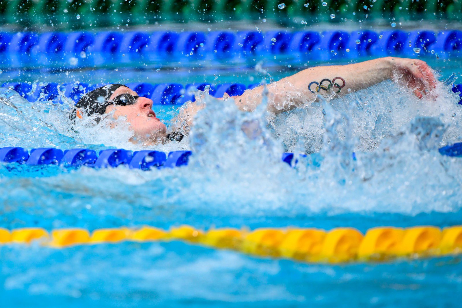 Danielle Hill (@Danielle_FBD) / Twitter