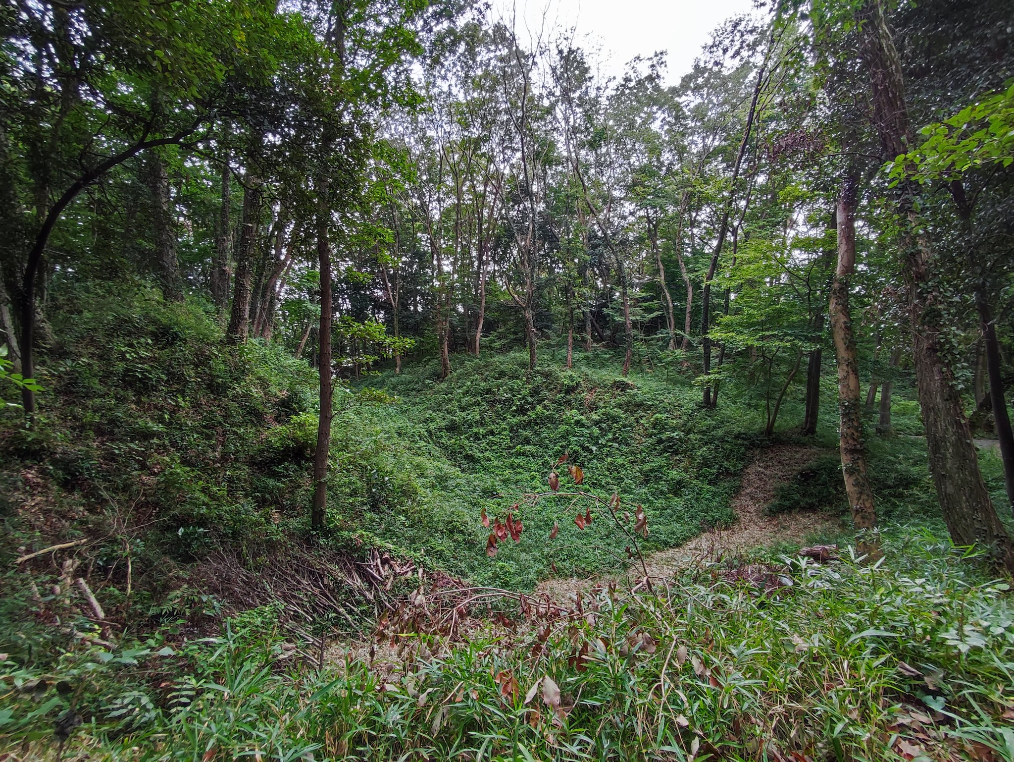 Y.T Saitama AD966/JO1LNK on Twitter: "滝山城、攻略せり。 準備してアクティベートします。 #POTA ...