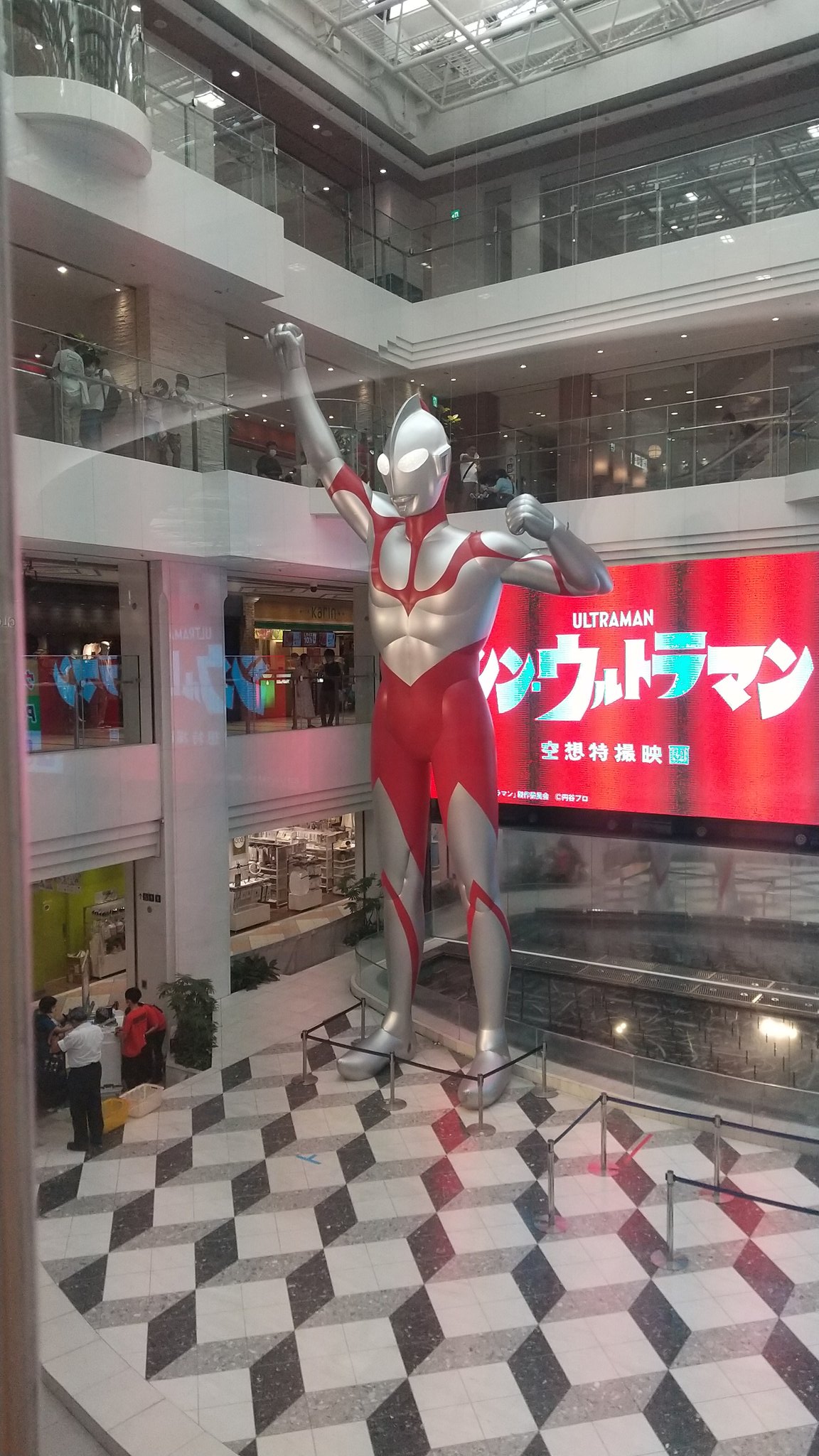 大塚日向子@文京区 (@Bnk_WM) / Twitter