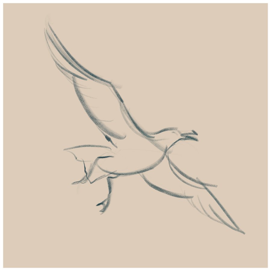 「Doing a lot of bird pose practice sketch」|Jenna Vincentの漫画