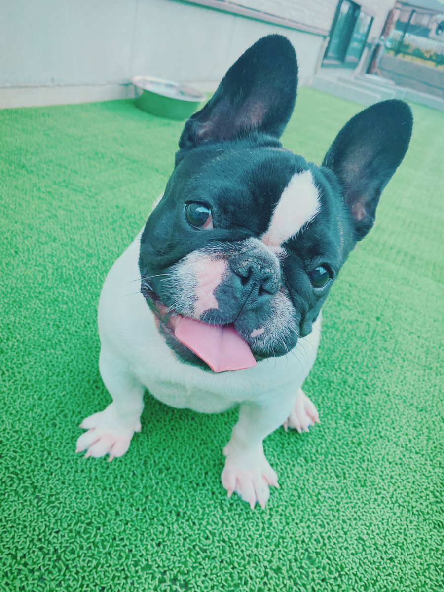 イチ にこ(@ichi__1102) - Twilog (ツイログ)