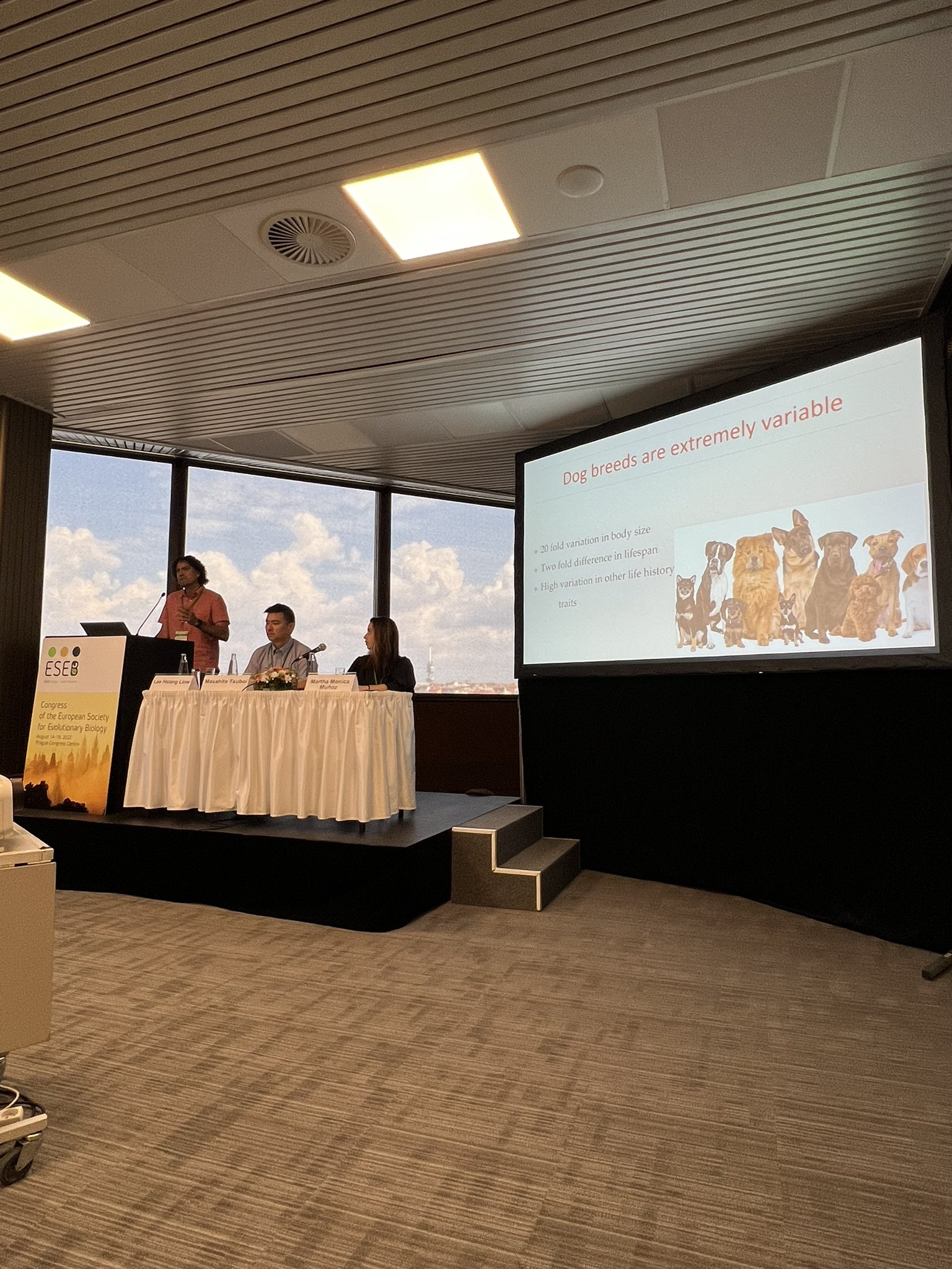 Dylan Padilla (@Dylan_Padilla94) / Twitter