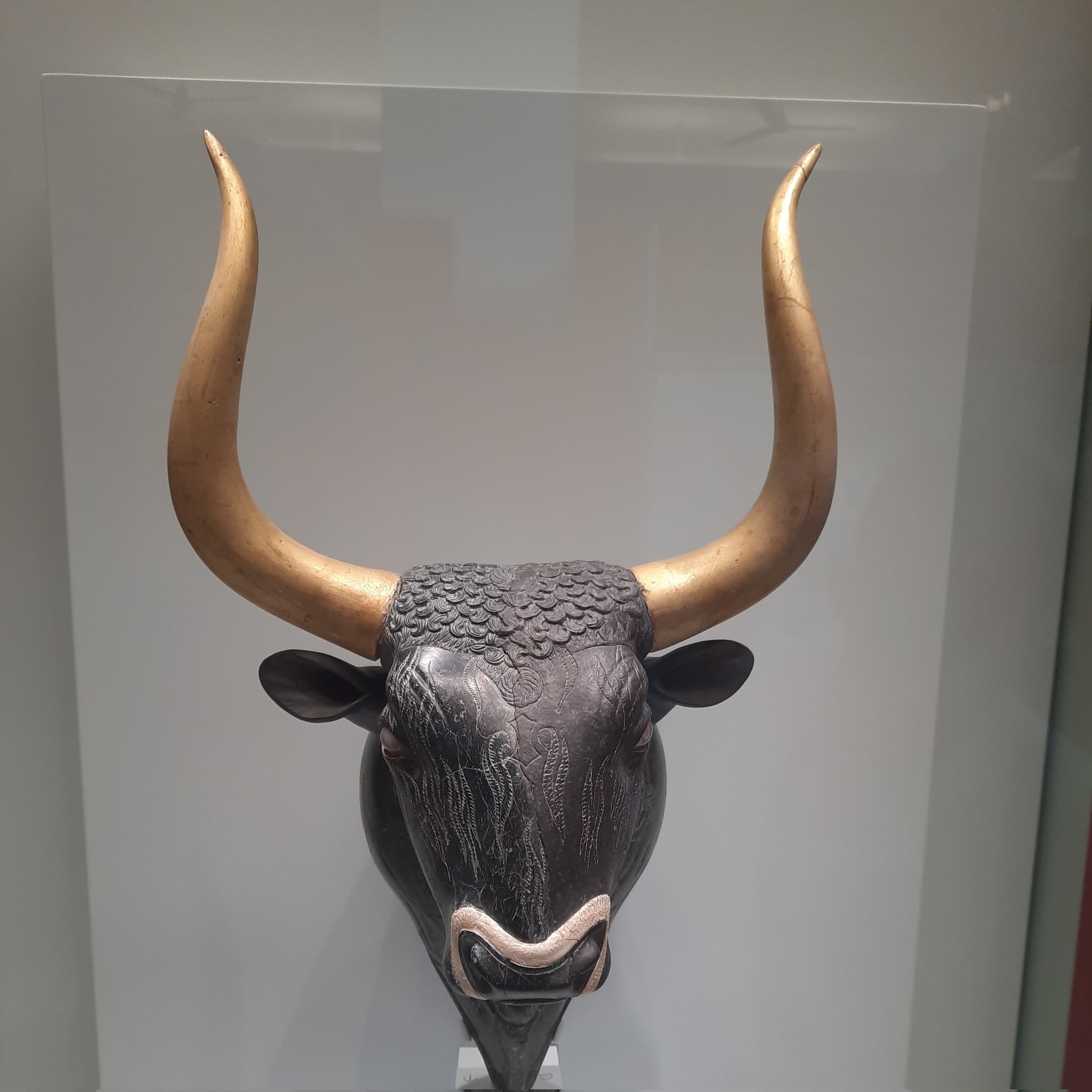 Zenon z Elei (@krzysiek_socha) / Twitter