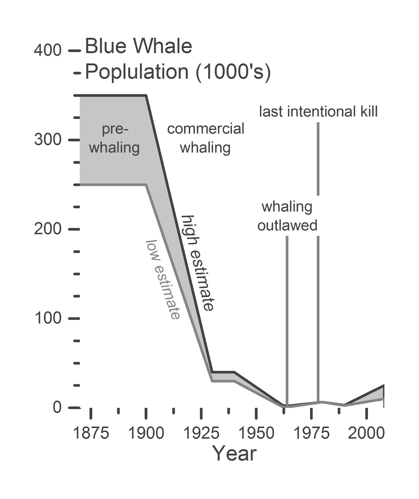 Whale Population Graph 2022