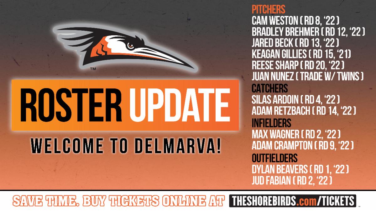 Delmarva Shorebirds Logo Delmarva Shorebirds Mickey's Place