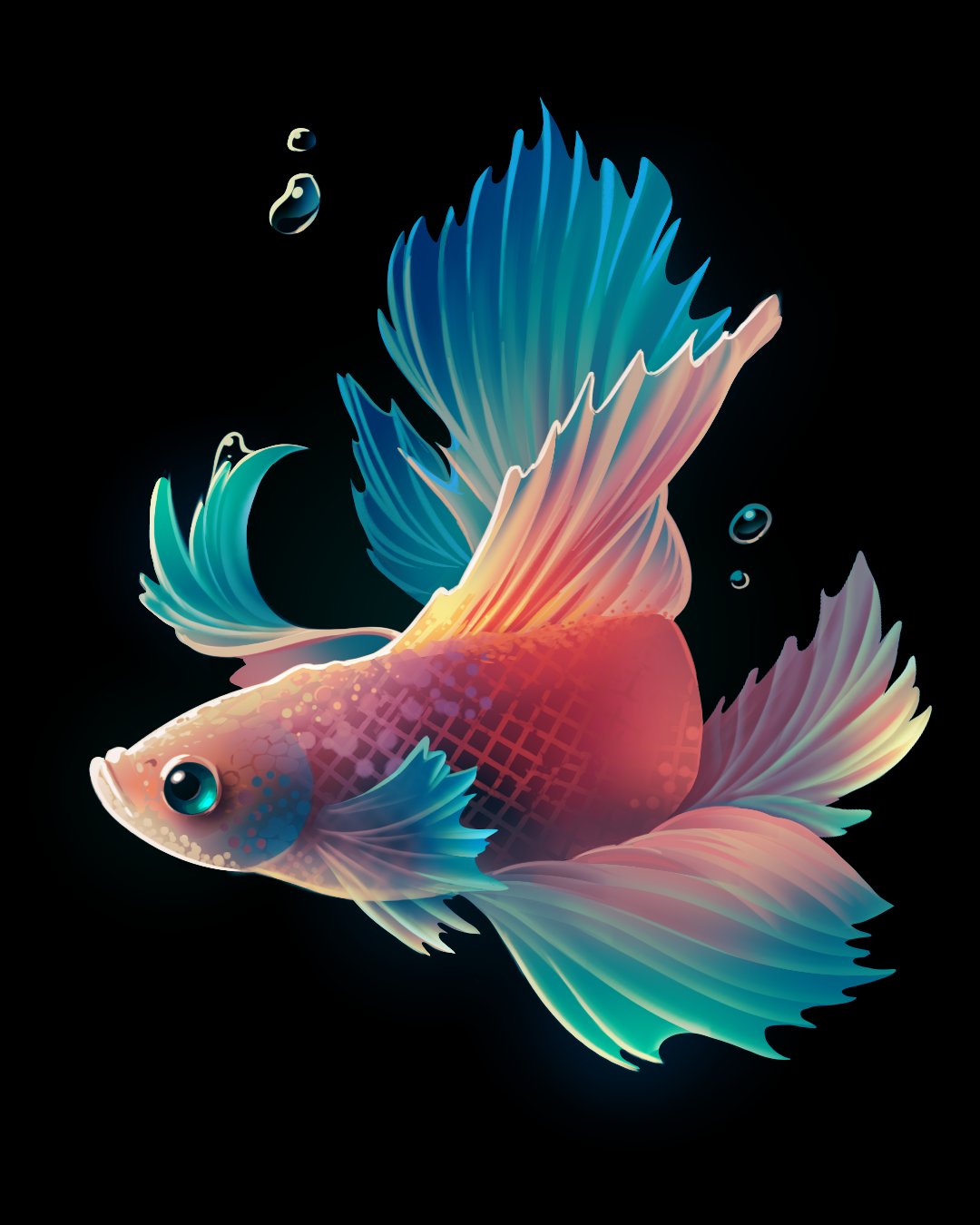 Colorful Betta Fish Drawing