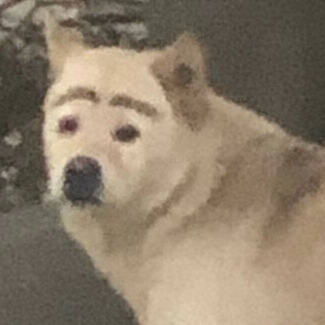 KIYO💜 ️AFA🇸🇬BOOTH(CH214) on Twitter: "the hackers also deleted all my tweets so i guess i am ...