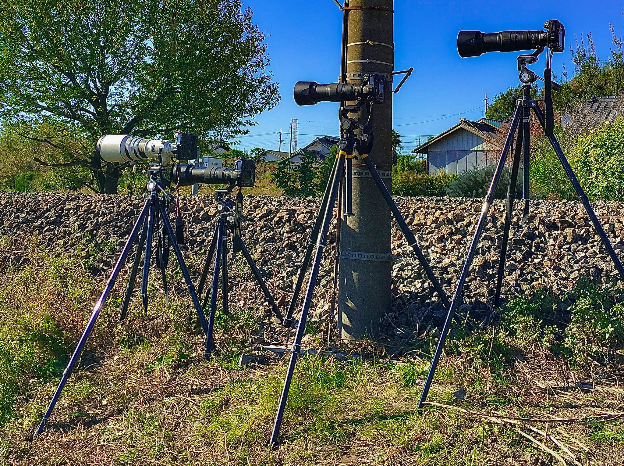 毅 (@takedon999) / Twitter