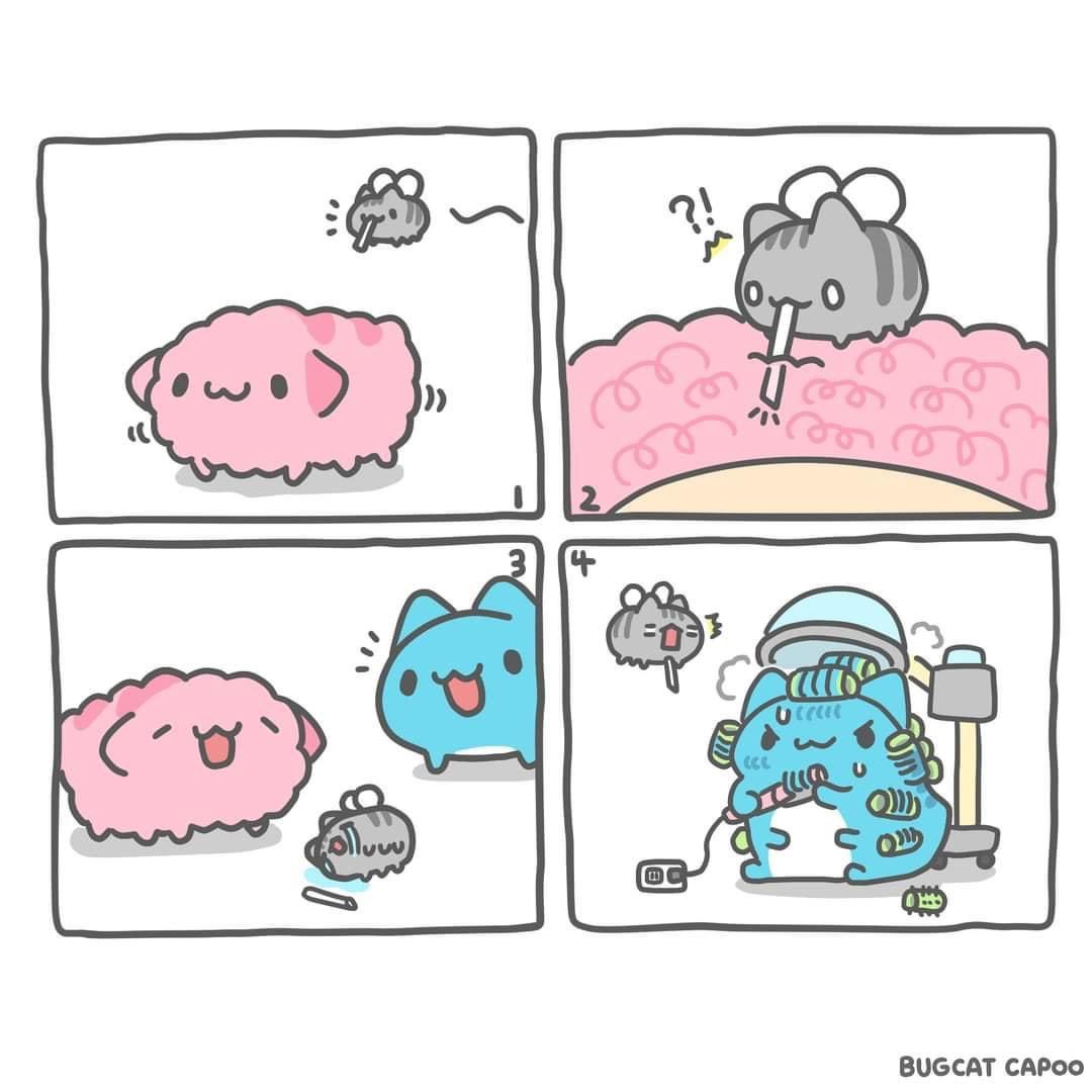 bugcat_capoo_jp on Twitter: "https://t.co/EJffS79Yxb" / Twitter