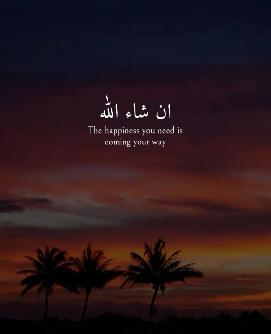 Insha Allah Quotes Inshallah, One Day I Will Be Blessed With Children.