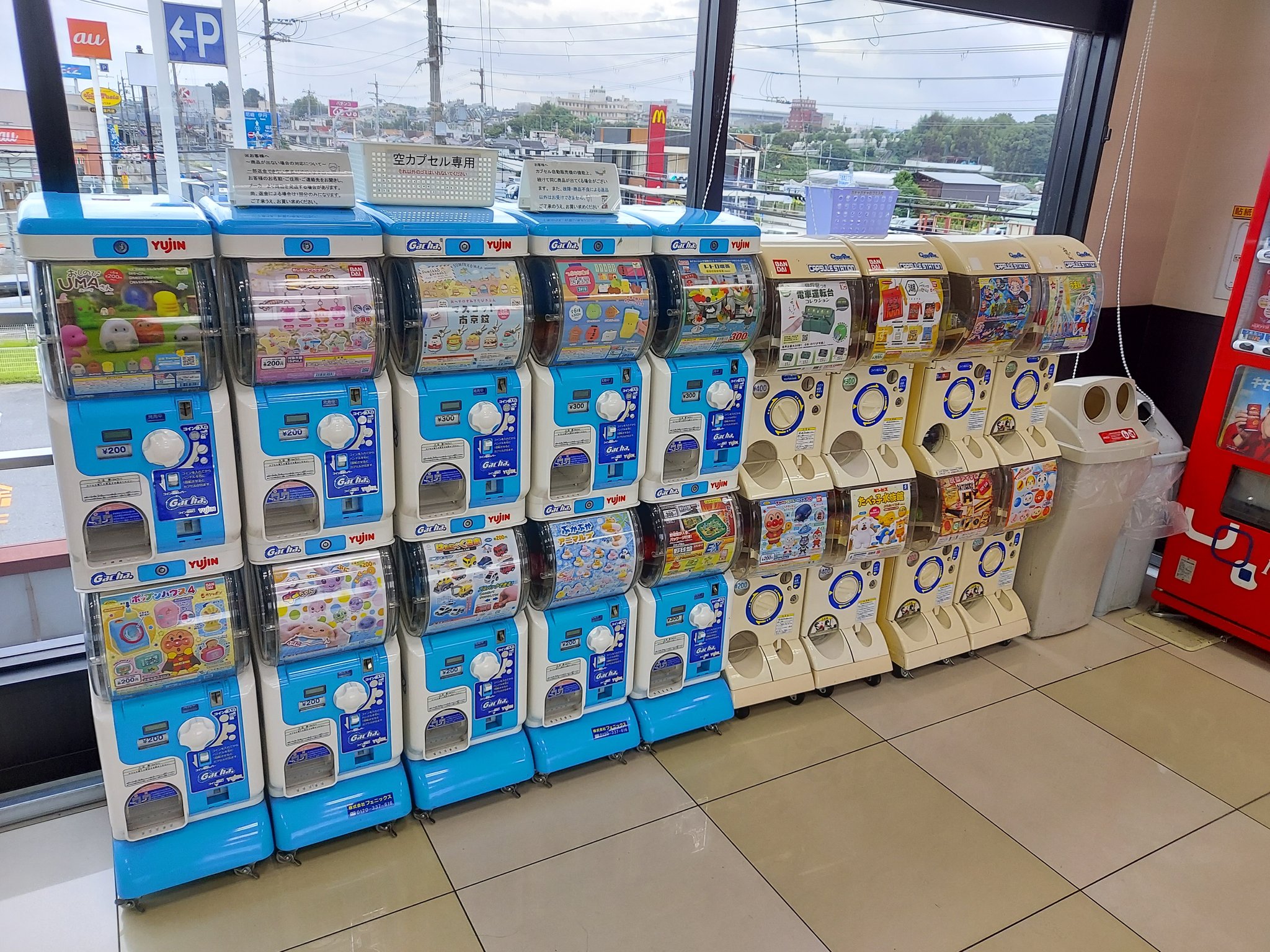 こぐま (@koguma_bunta) / Twitter