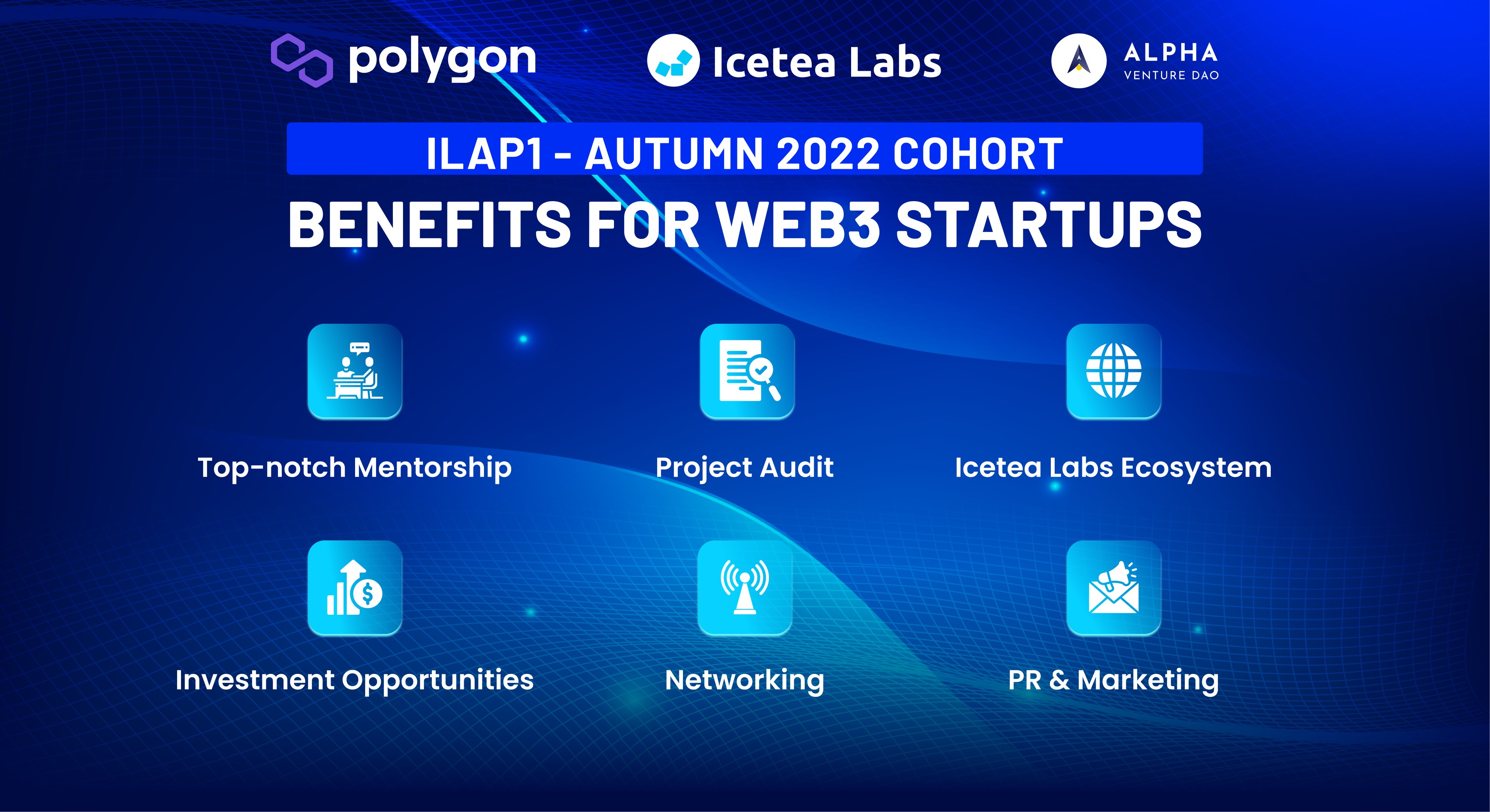 Icetea Labs on Twitter: "🚀ICETEA LABS ACCELERATOR PROGRAM IS OFFICIALLY LAUNCHED 📌https://t.co ...