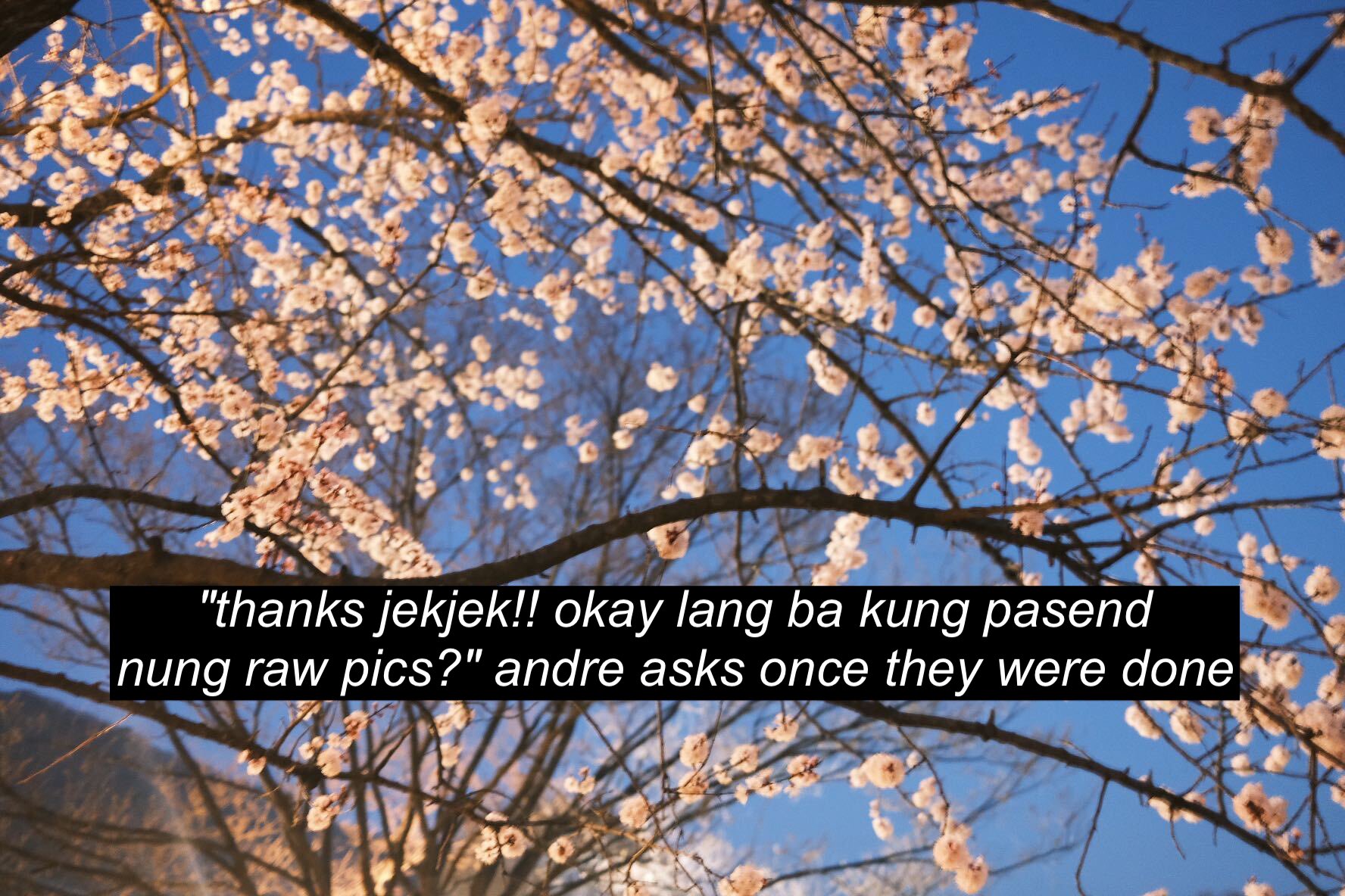 On Twitter 586 Ff Https T Co Mnqhbh0lu9 Twitter