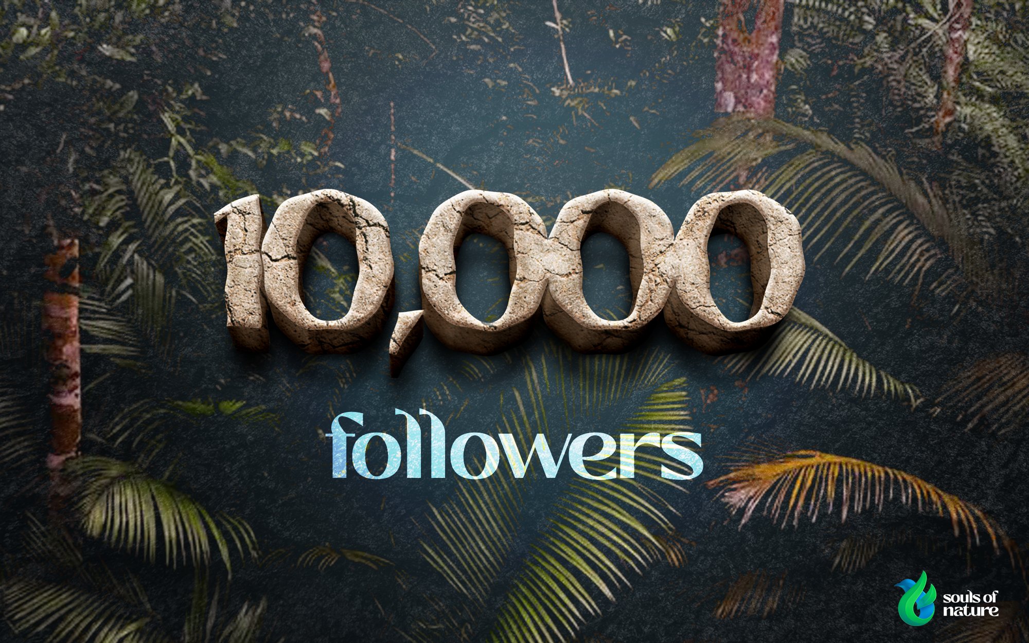 Metazooie Studios (@metazooie) / Twitter