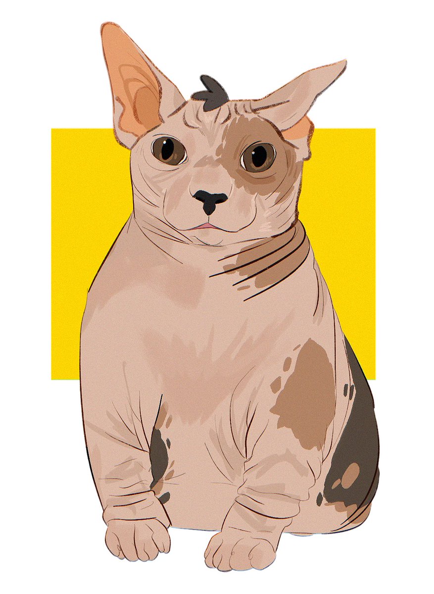 「hes got a staring problem 」|Moe ⭐️🔜 PRCCのイラスト