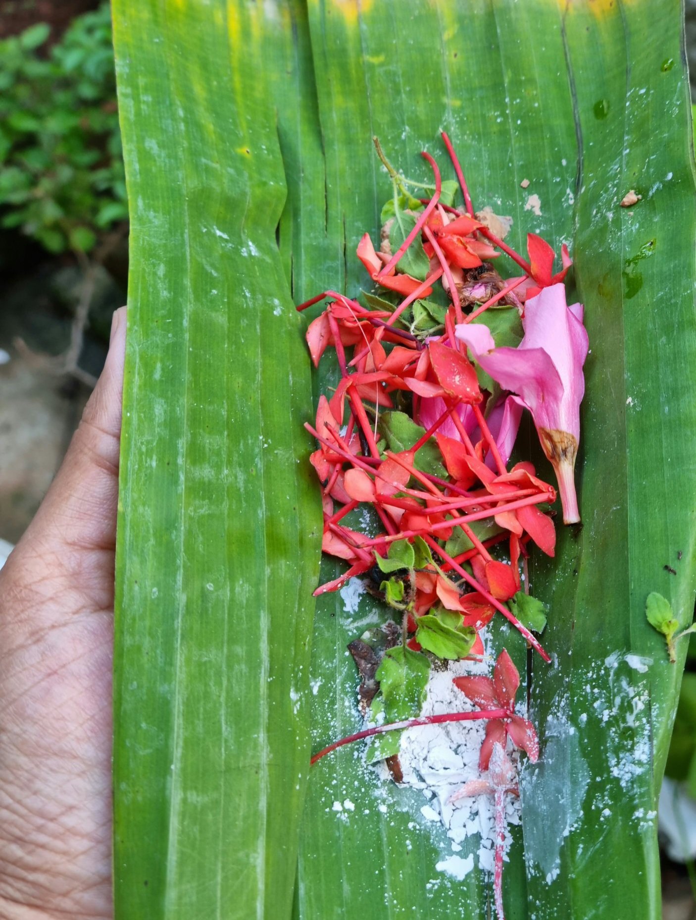 Kerala Temple Prasadam