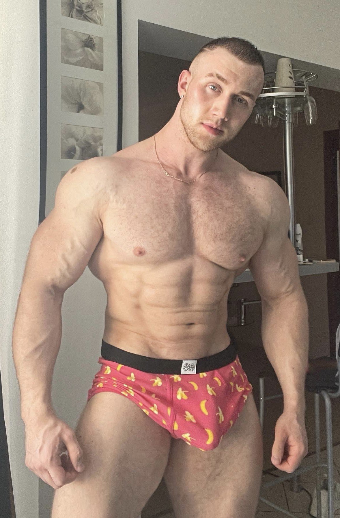 SILVERBACK on Twitter: "#Silverback https://t.co/L8IBiDioLL" / Twitter