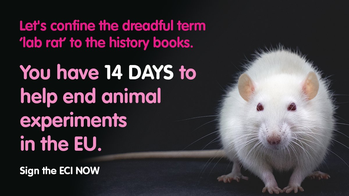 Animal Testing Quotes