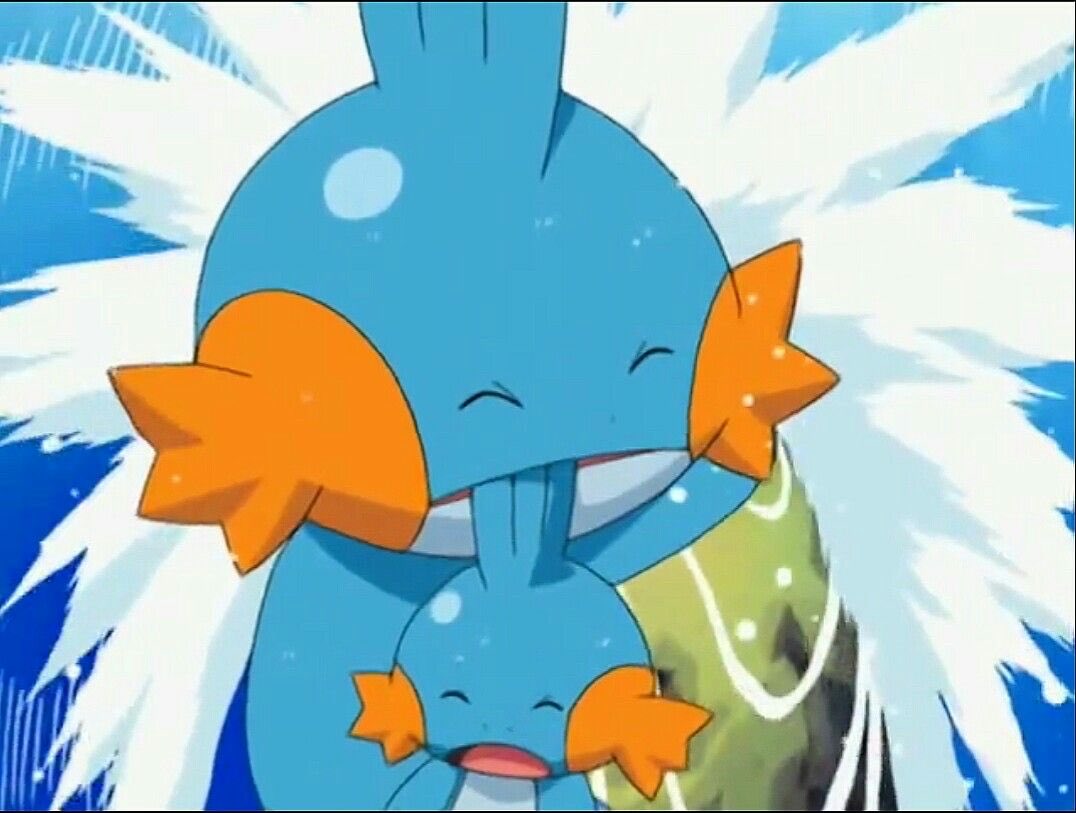 Mudkip And Torchic