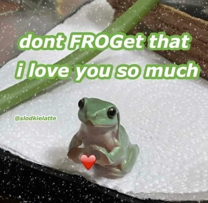 Get Out Frog Imgur