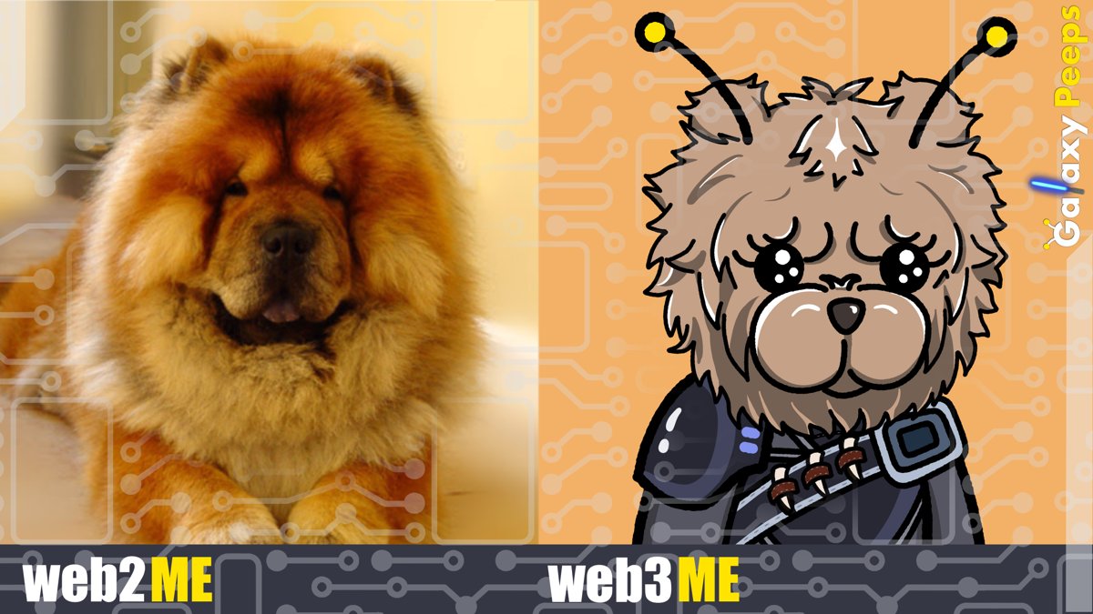 NFT Anax on Twitter: ""Web2 Me" vs. "Web3 Me" -- Which General Chowchewka looks more dope?👀 ...